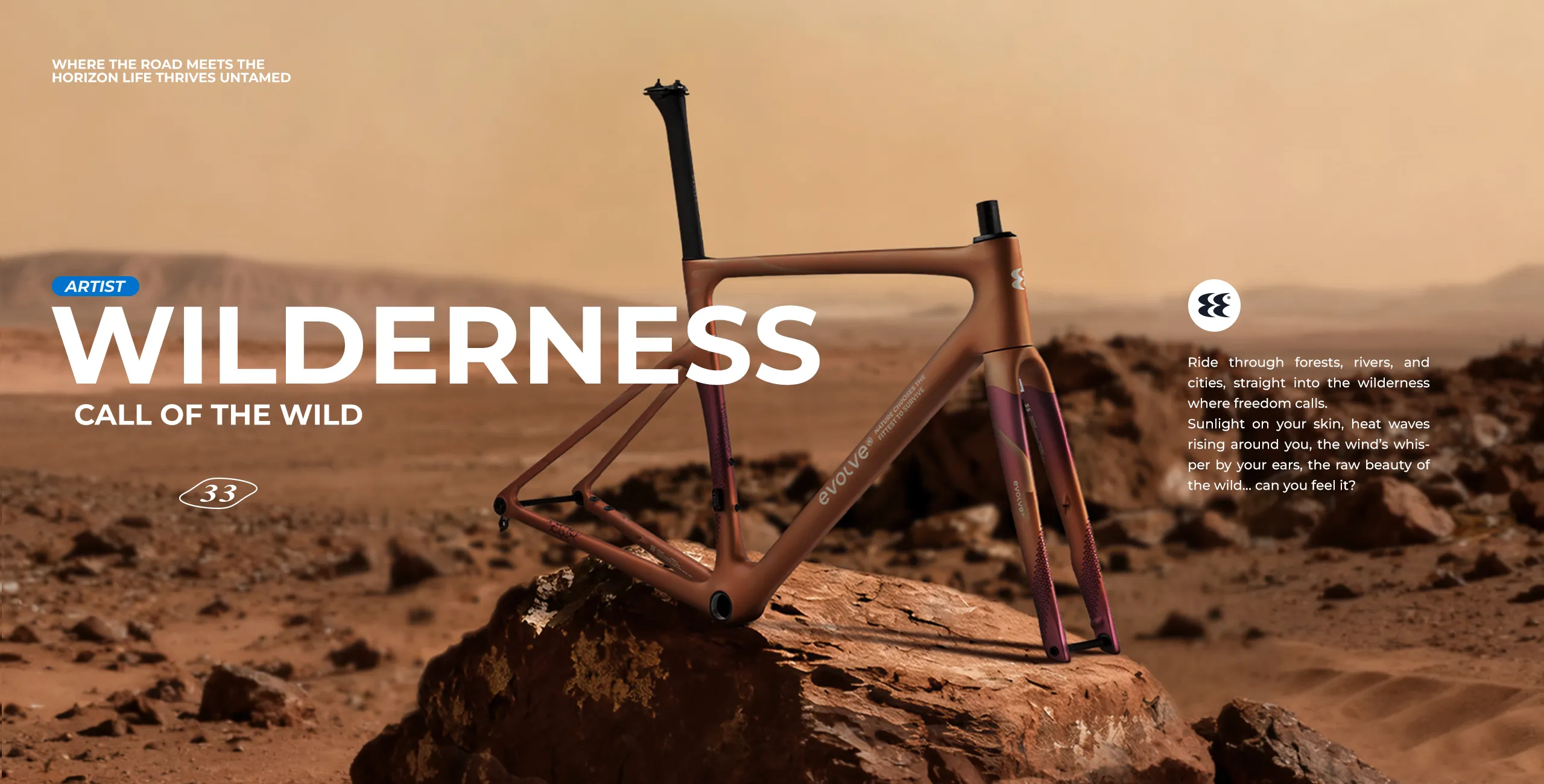 极也 evolve®bicycles - 竞赛级公路车架